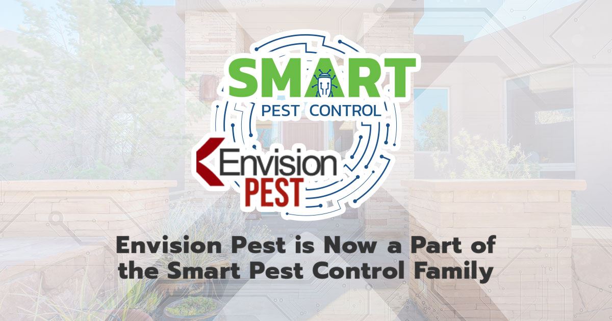 Phoenix Pest Control Company | Smart Pest Control